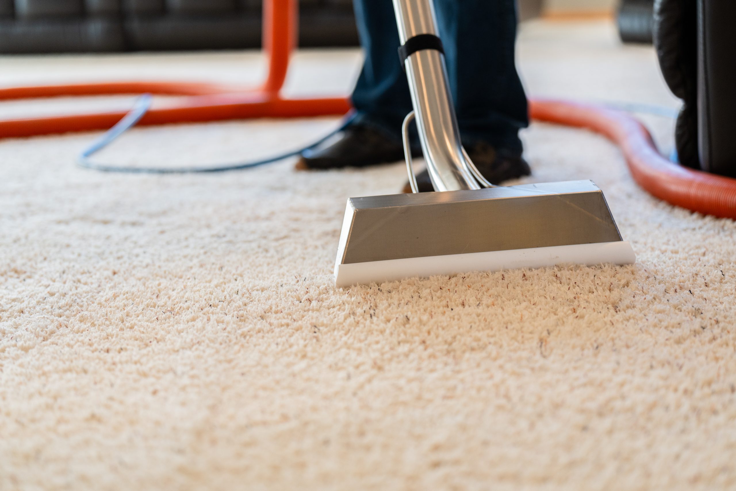 Our Services | Carpet Patrol Minot
